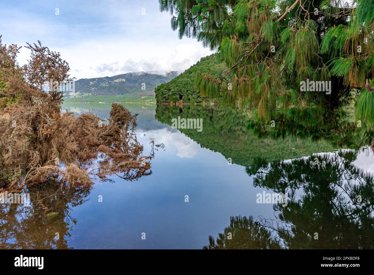 Calima Lake Water Wight