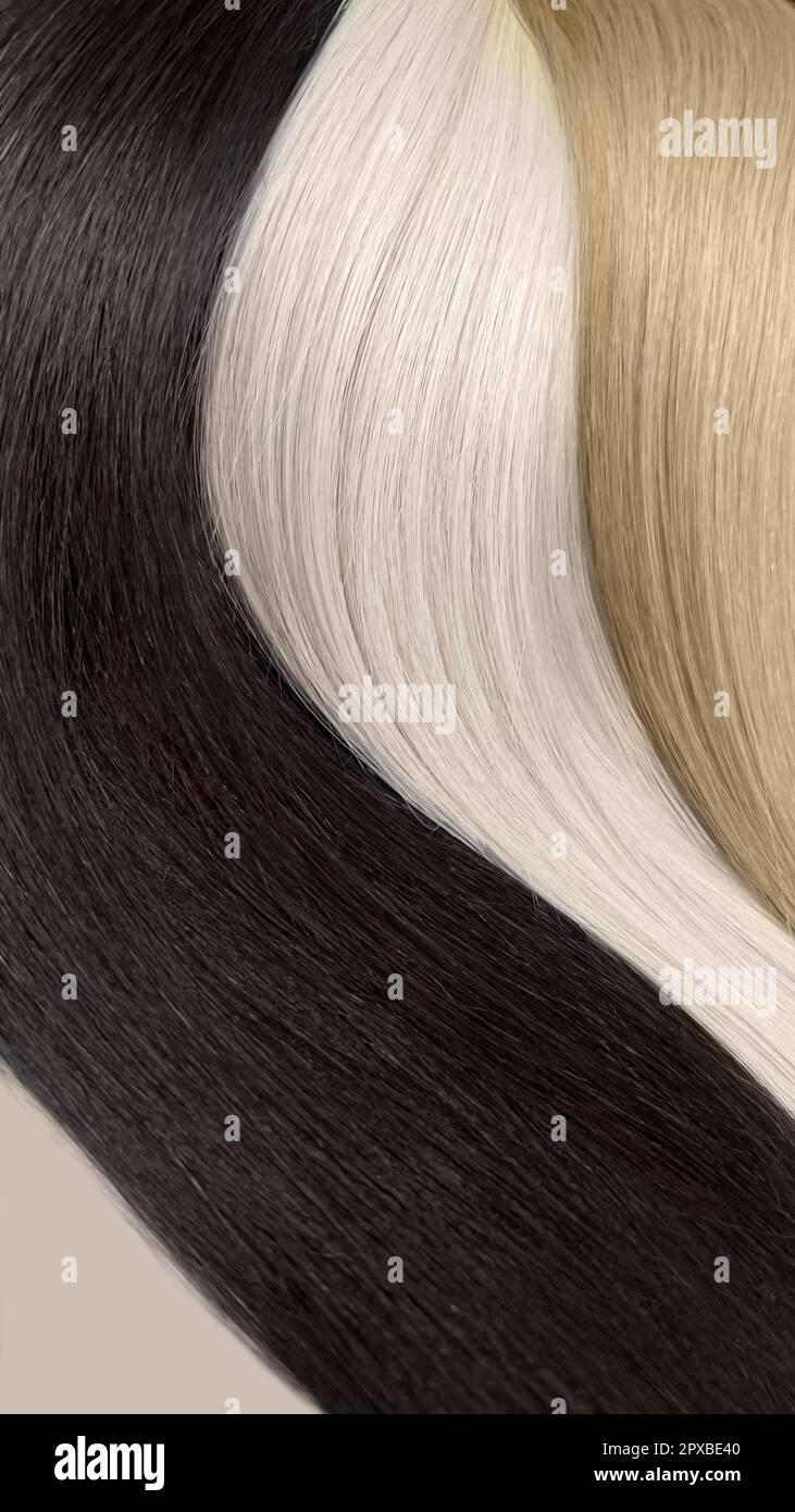 Strands of natural hair of different colors for extensions. Hair color ...