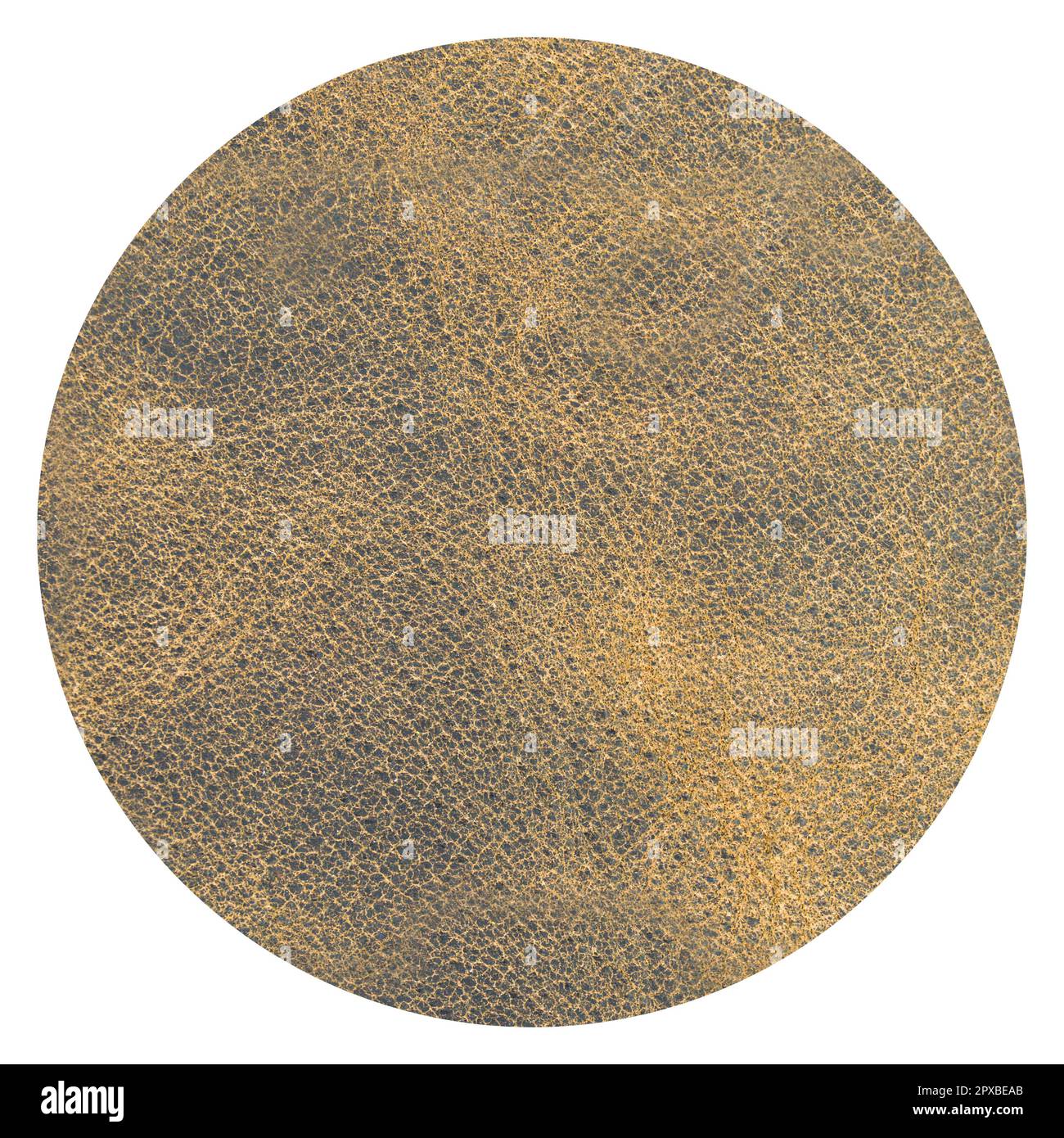 Genuine cowhide texture close up, useful as background for any design ...