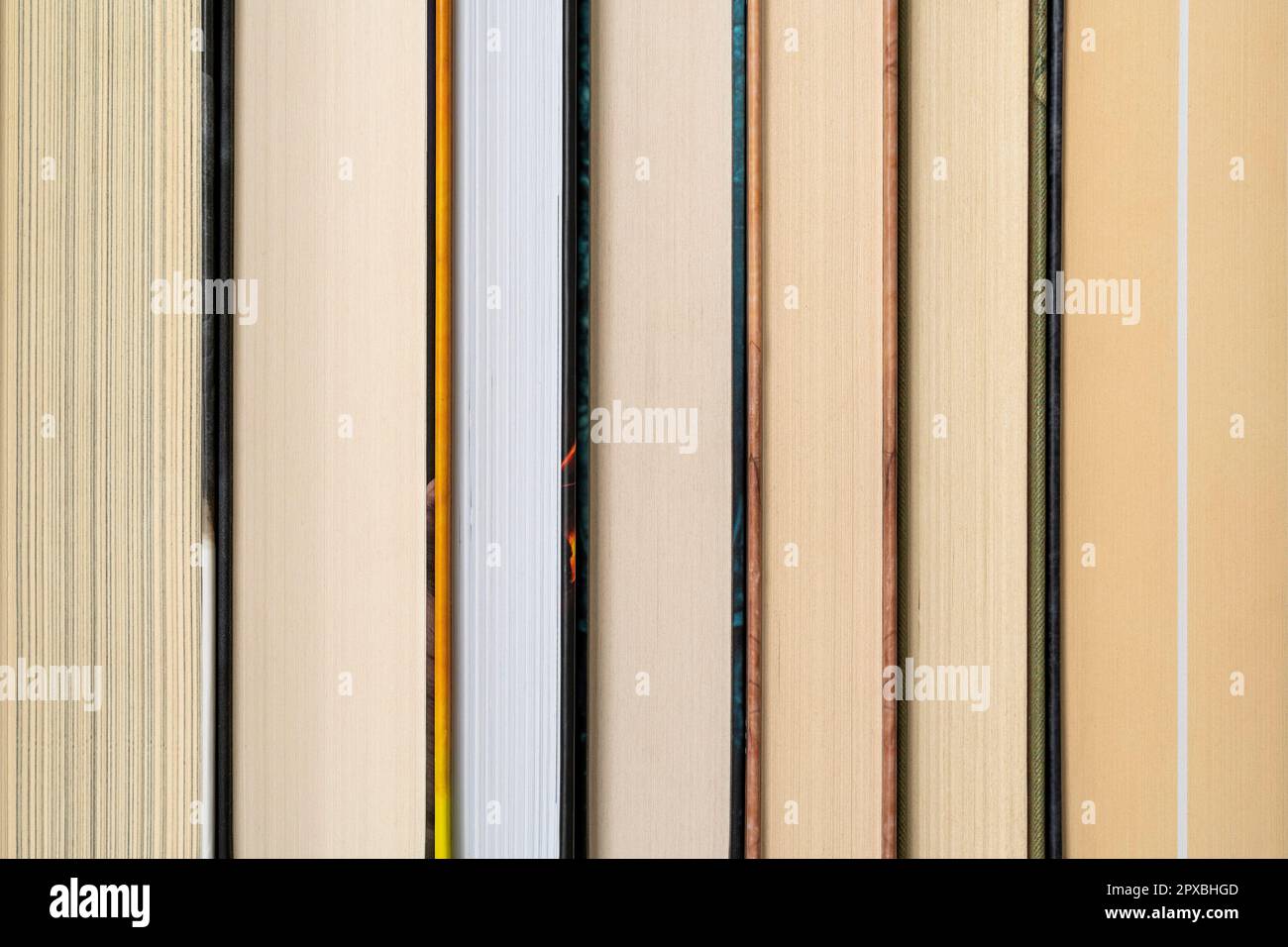 Different hardcover books in a row. Texture background. Back to school ...