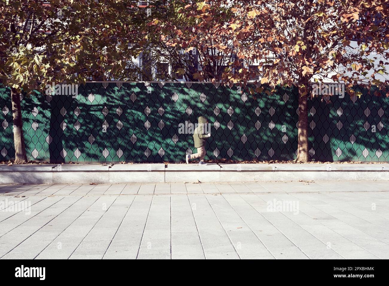 child walking and playing along a tree-lined avenue in the city centre ...