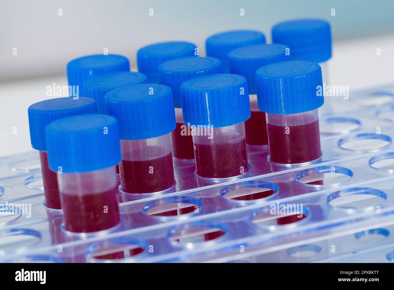 Pharmacy laboratory hi-res stock photography and images - Alamy