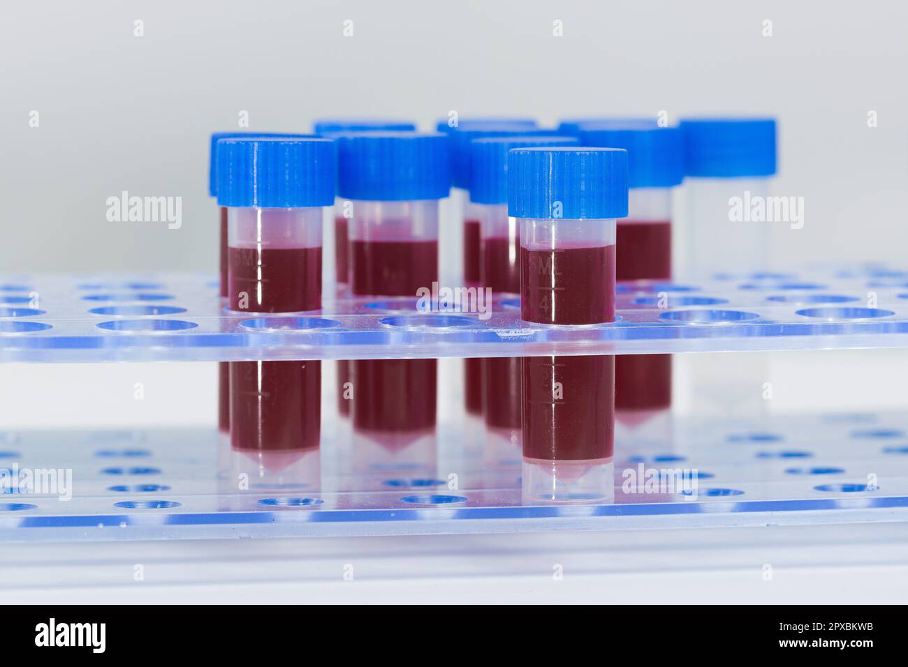 Pharmacy laboratory hi-res stock photography and images - Alamy