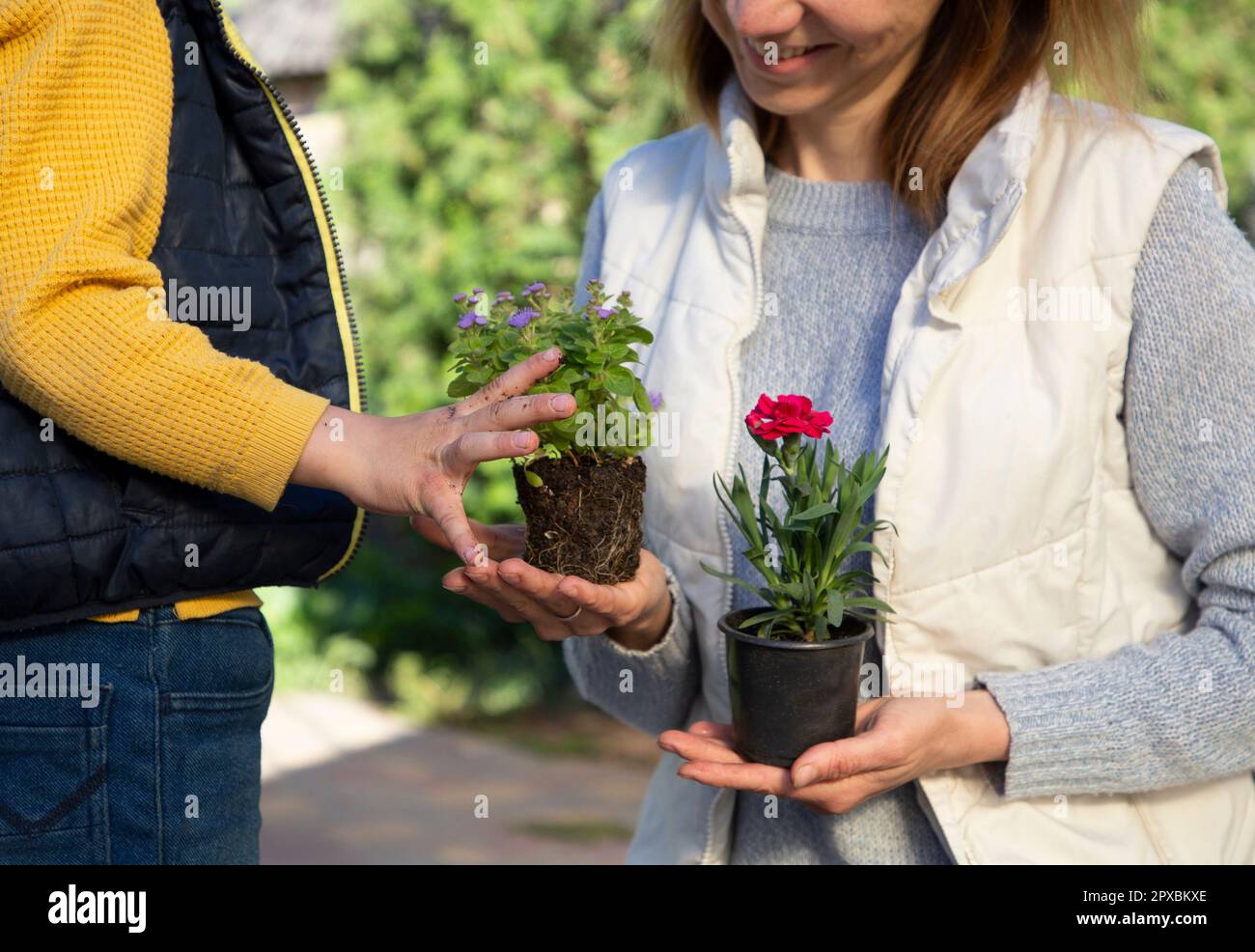 mom and son are planting plants together in the flower beds on a sunny ...