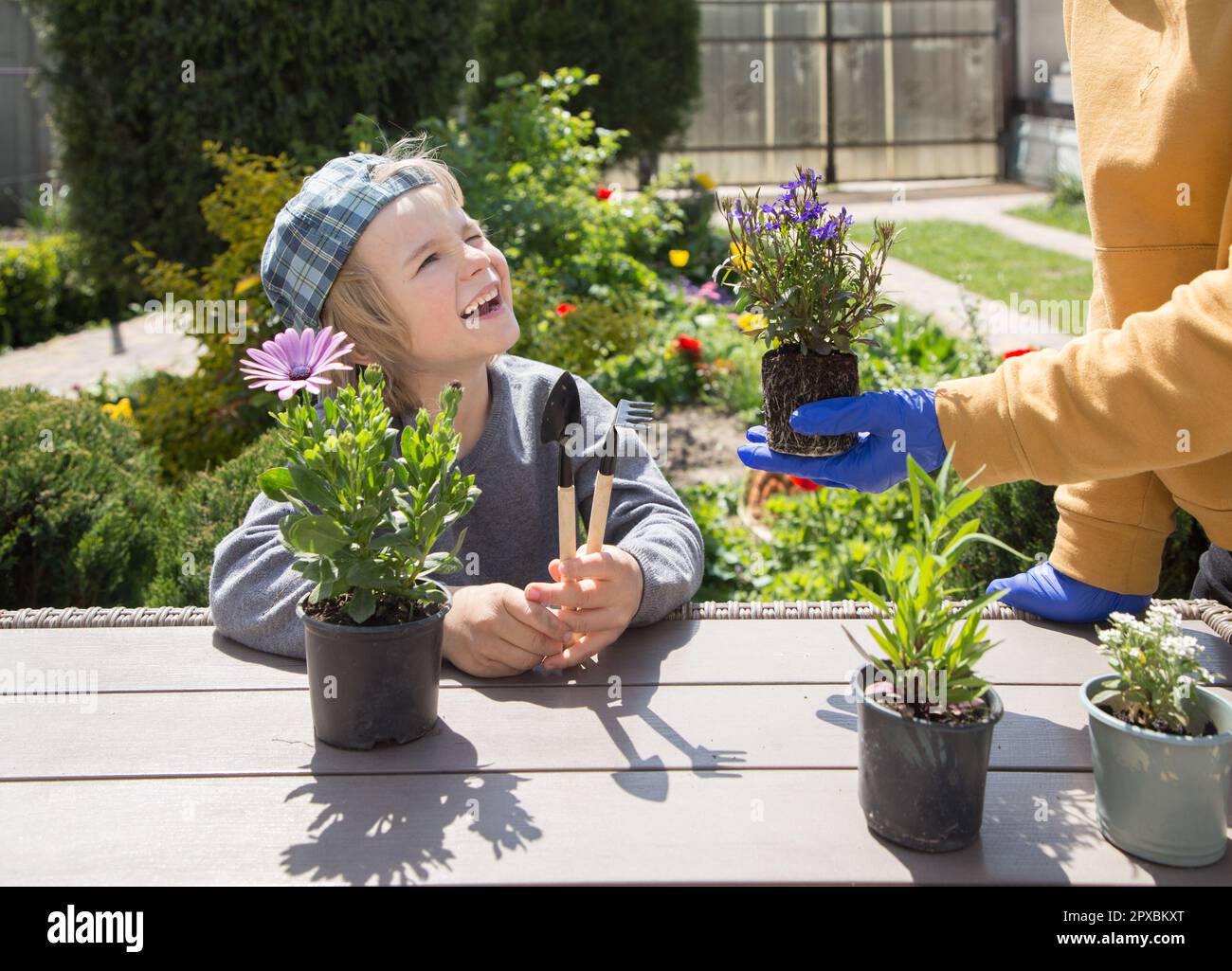 mom and son are getting ready to plant flowers together in garden ...