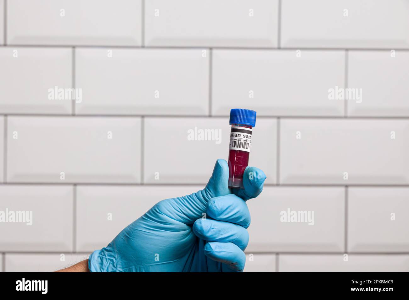 a hand in blue gloves i shandling a blood probe in a laboratory room ...