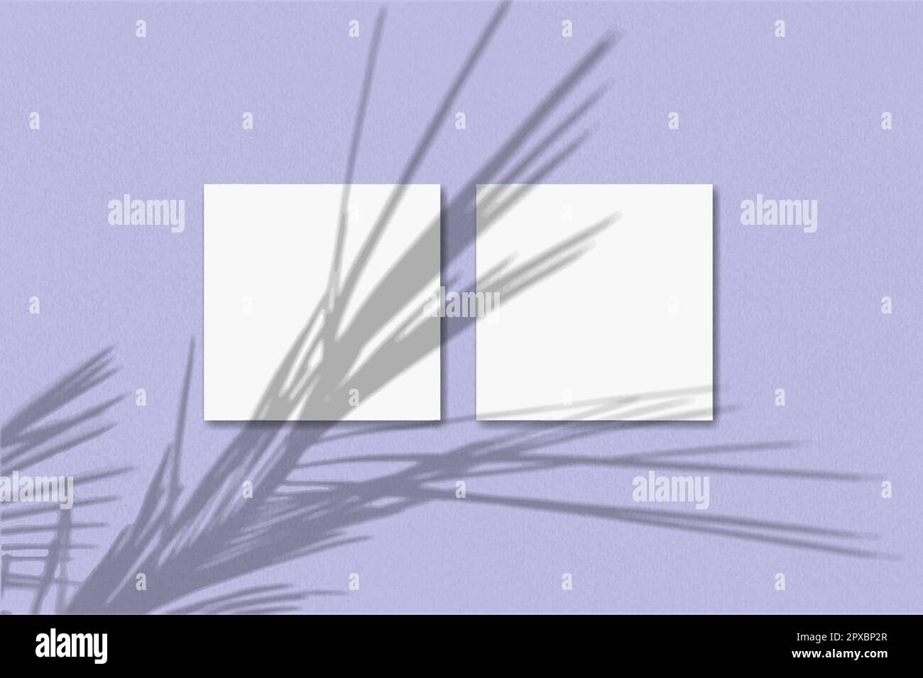 Natural light casts shadows from the palm branch on 2 square sheets of ...