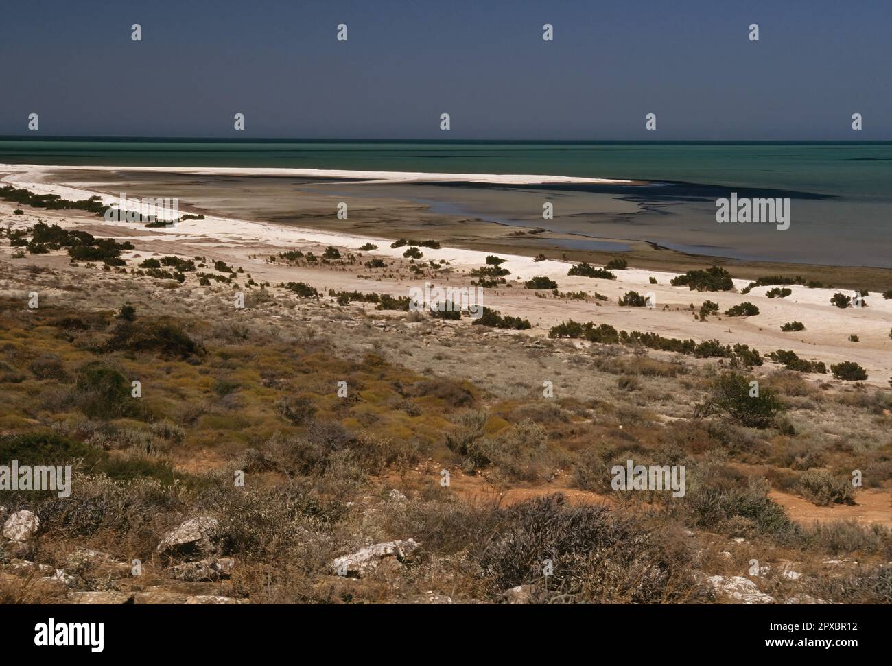 Shell Beach is a beach in the Shark Bay region of Western Australia ...