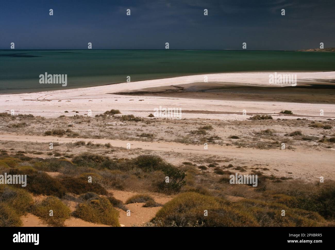Shell Beach is a beach in the Shark Bay region of Western Australia ...
