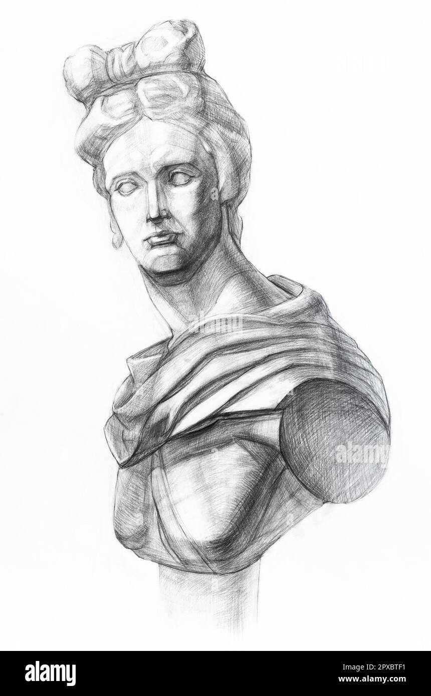 academic drawing - gypsum model of Apollo Belvedere bust hand drawn by ...