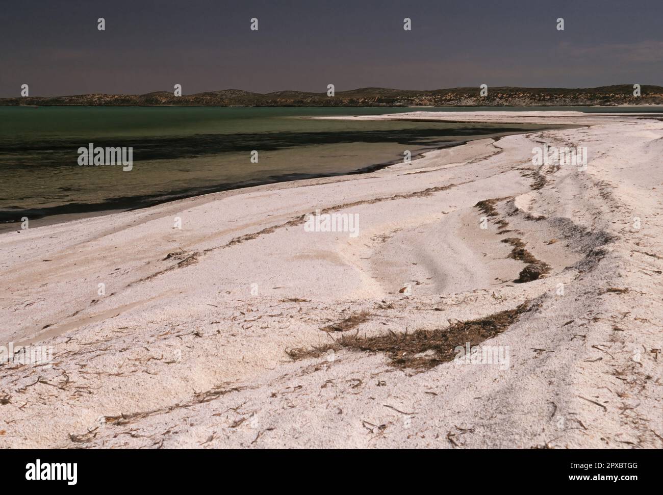 Shell Beach is a beach in the Shark Bay region of Western Australia ...