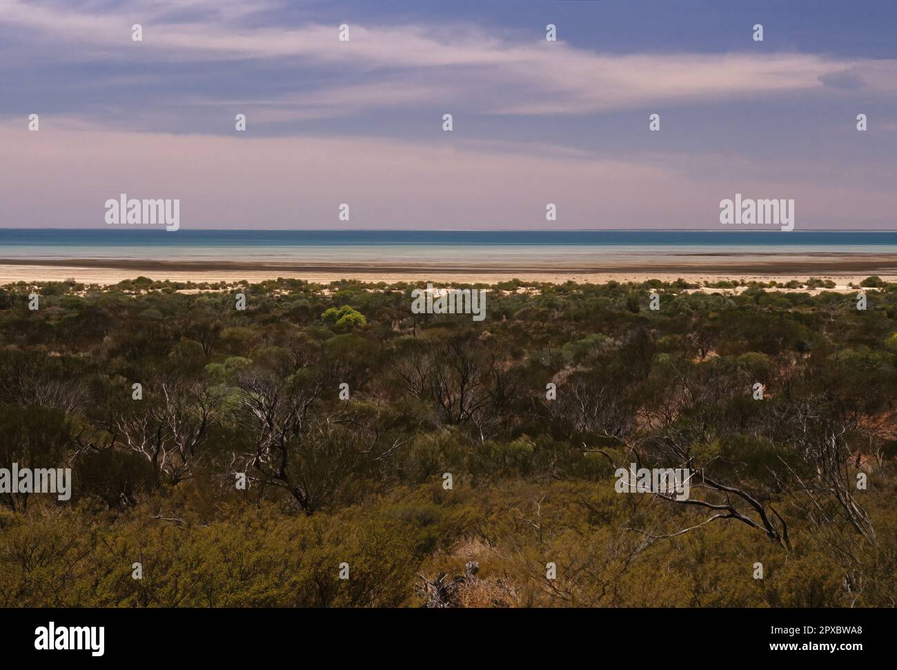 Shell Beach is a beach in the Shark Bay region of Western Australia ...