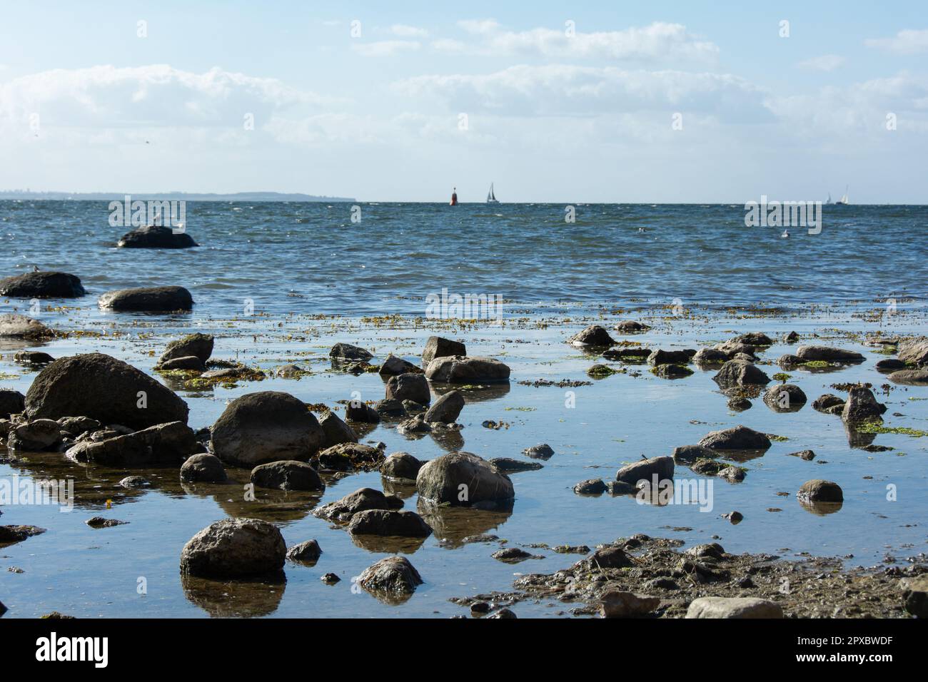 Large stones lie in the water on the Baltic Sea coast, sailing ship on ...