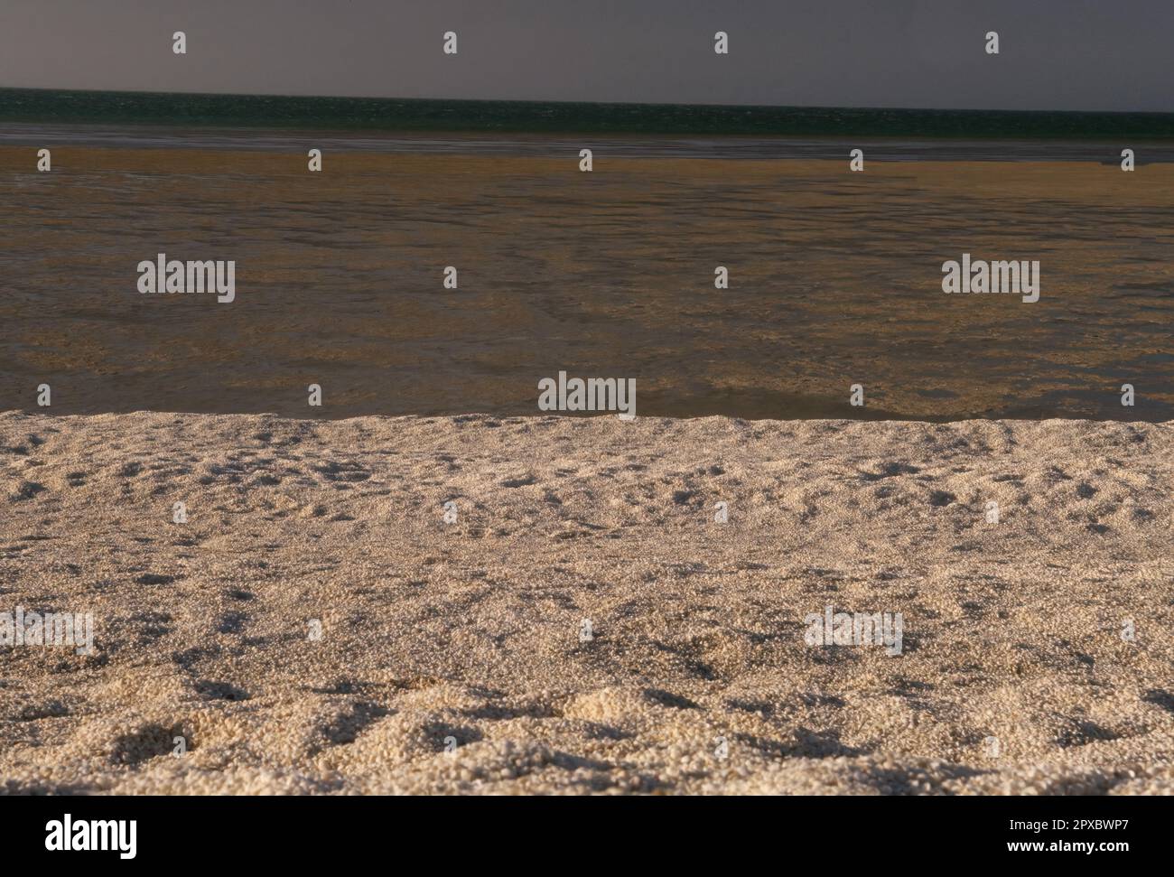 Shell Beach is a beach in the Shark Bay region of Western Australia ...
