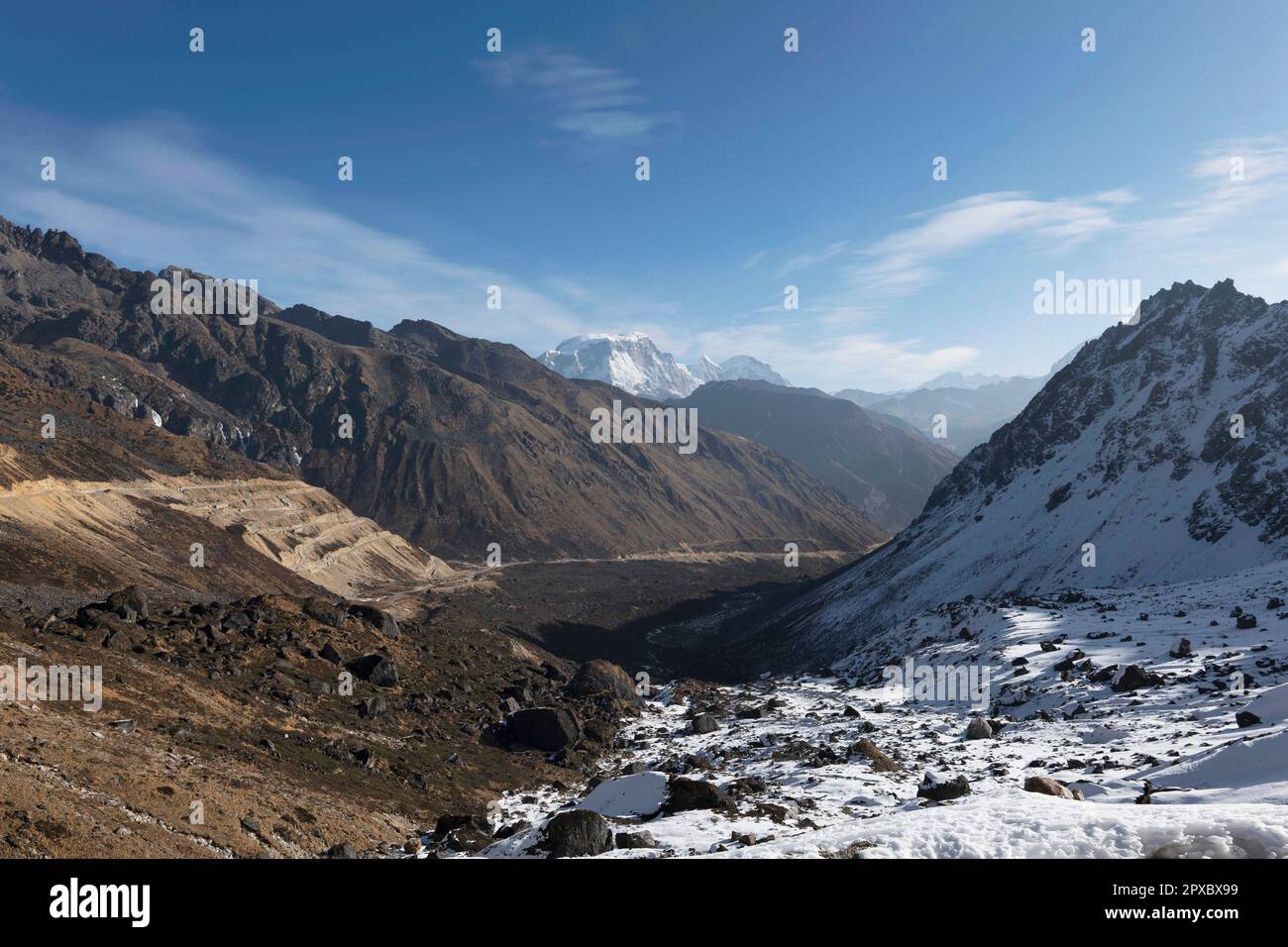 Himalayan flora and fauna hi-res stock photography and images - Alamy