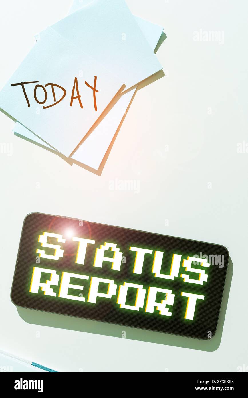 Conceptual display Status Report, Business overview Update Summary of ...