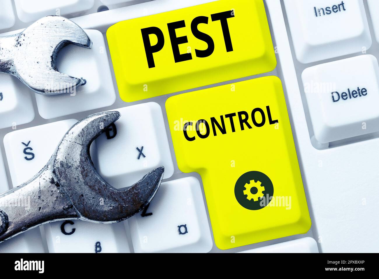 Conceptual caption Pest Control, Word for Killing destructive insects ...