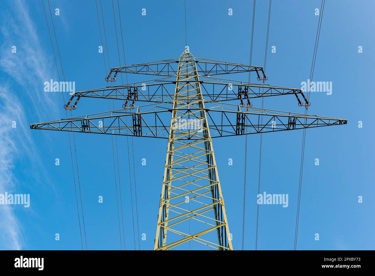 The high voltage pylon of an overhead power line from the frog ...