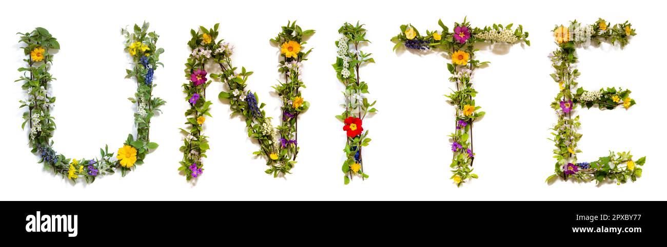 Blooming Flower Letters Building English Word Unite. Summer And Spring ...