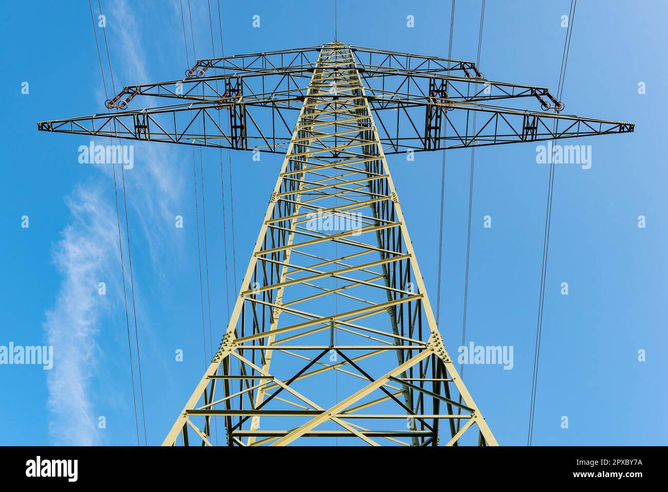 The high voltage pylon of an overhead power line from the frog ...
