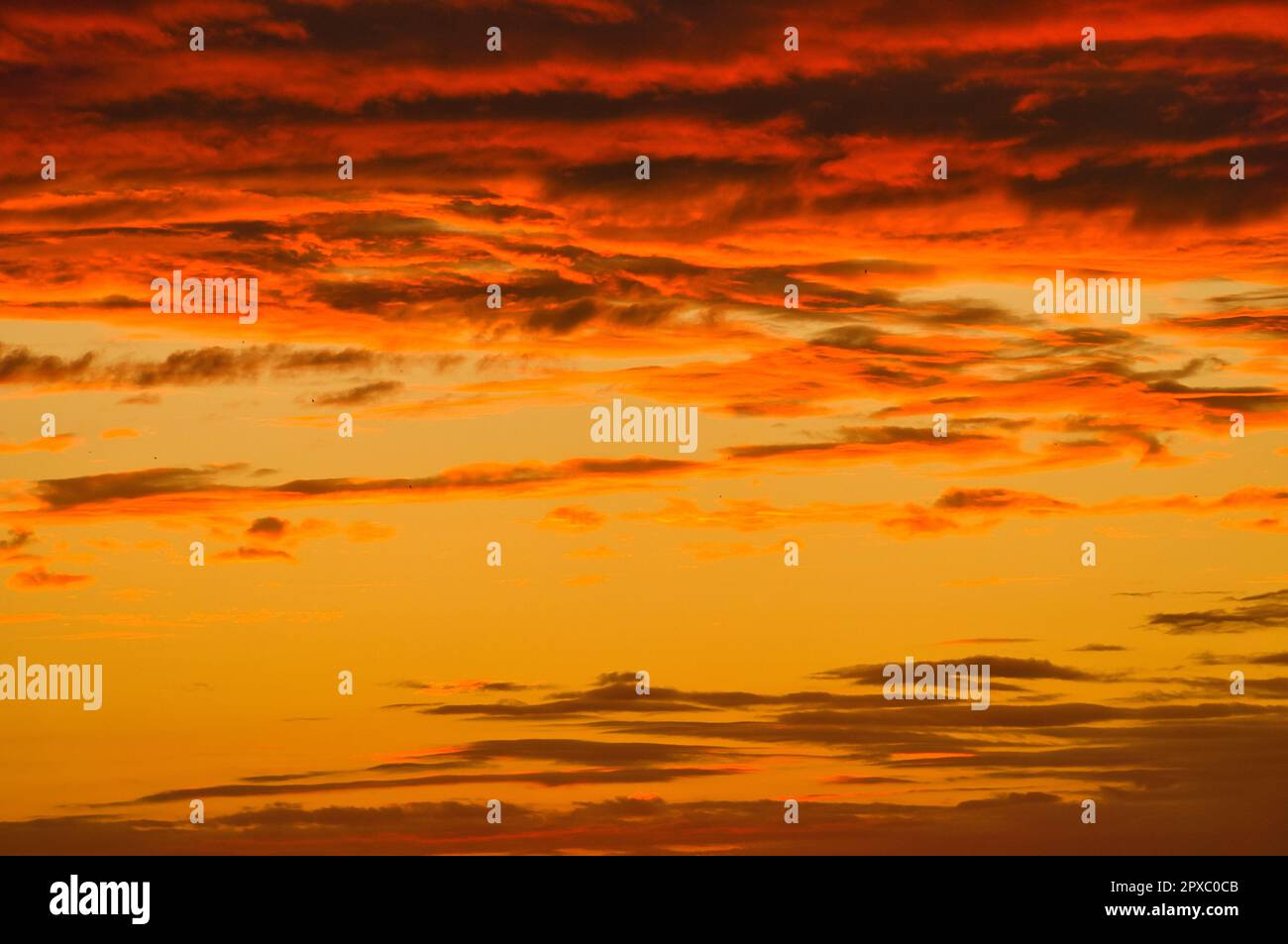Background image with clouds in extreme colors of a sunset. The sky ...