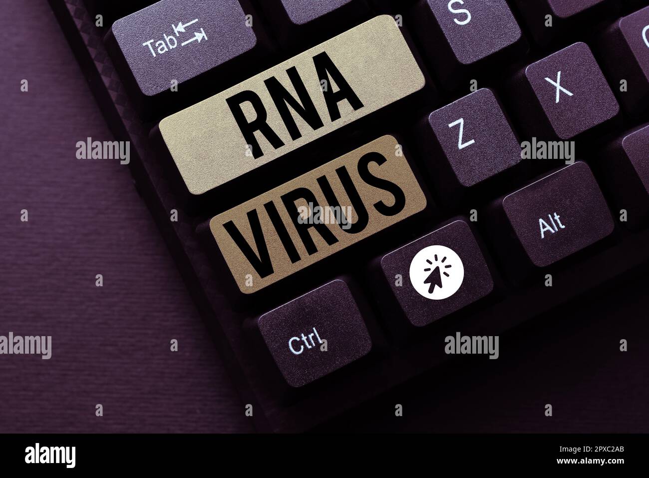 Text caption presenting Rna Virus, Concept meaning a virus genetic ...