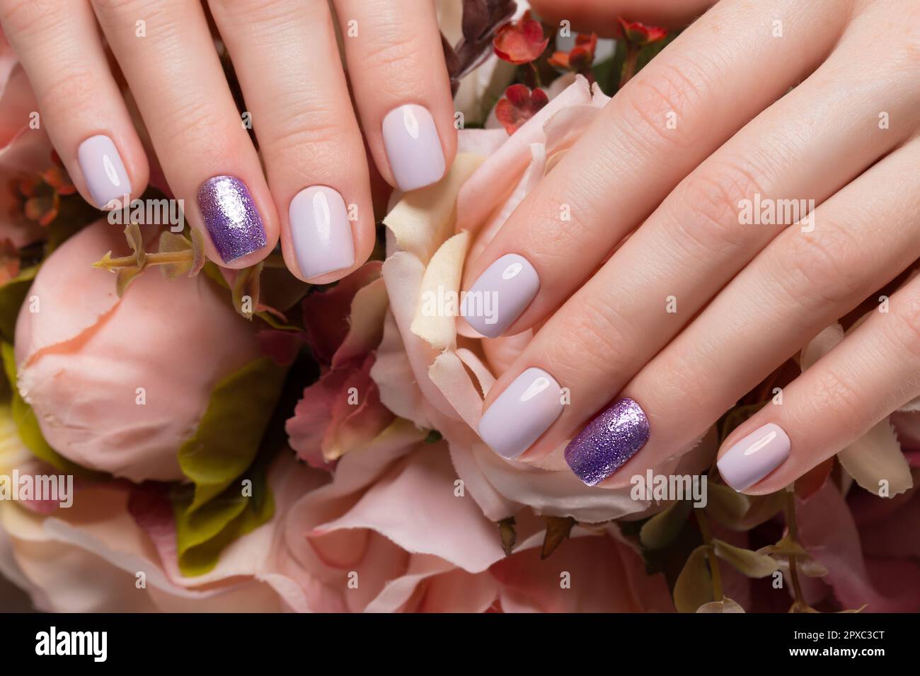 Purple neat manicure on female hands on a background of flowers. Nail ...