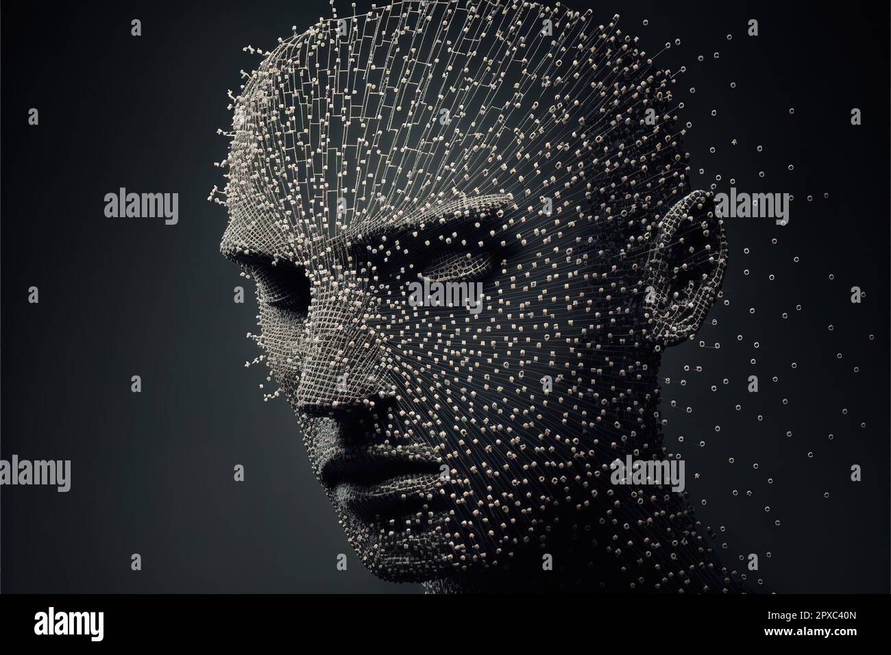 Human head shape made from a large grid of pins connected with string ...