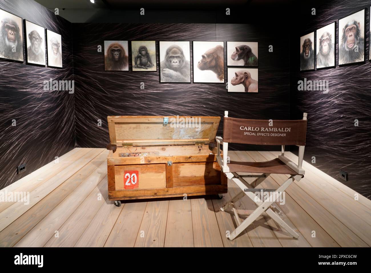 Nella mano di King Kong, in the hand of King Kong exhibition, Cineteca ...