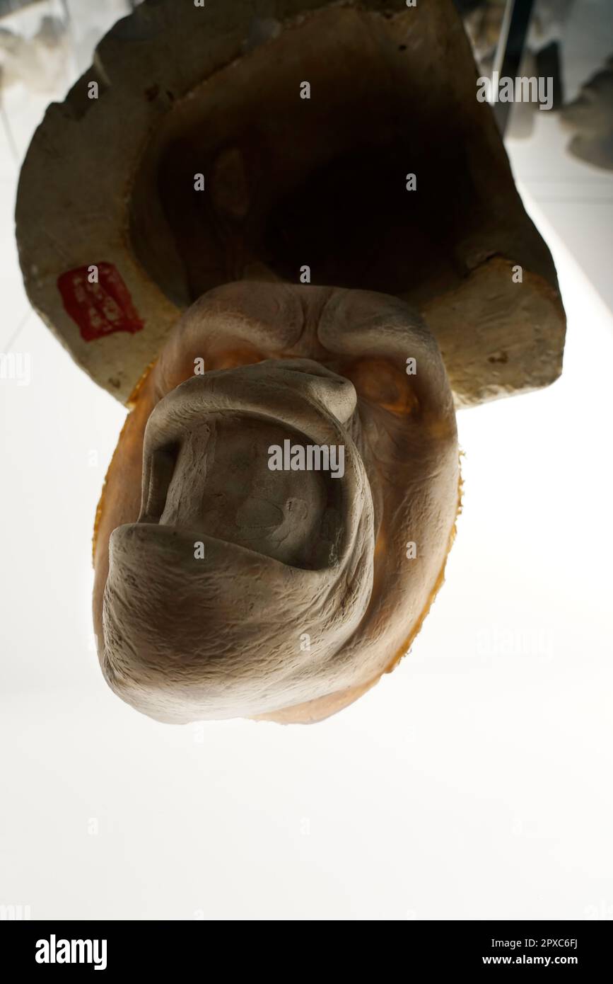 Nella mano di King Kong, in the hand of King Kong exhibition, Cineteca ...