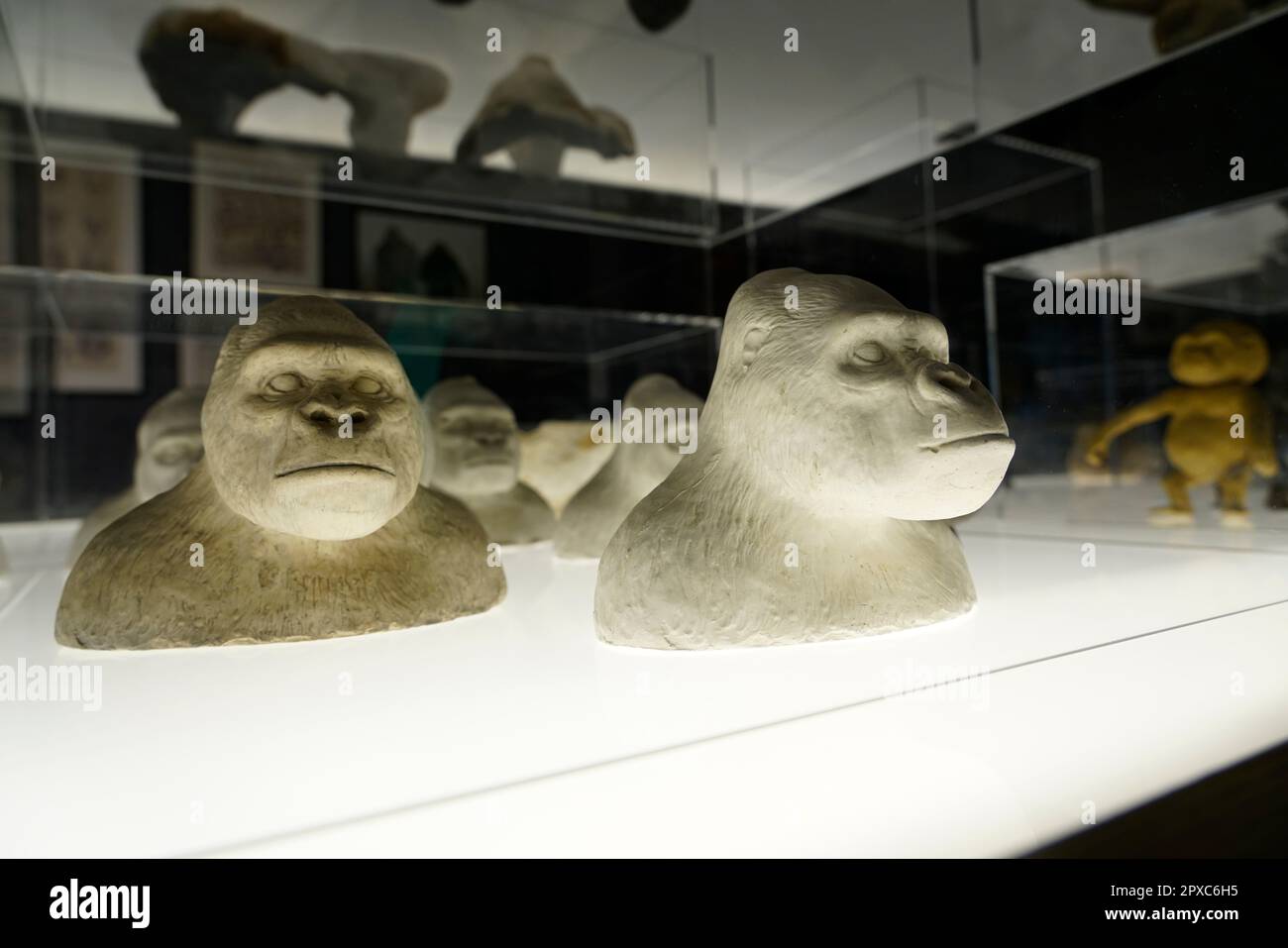 Nella mano di King Kong, in the hand of King Kong exhibition, Cineteca ...