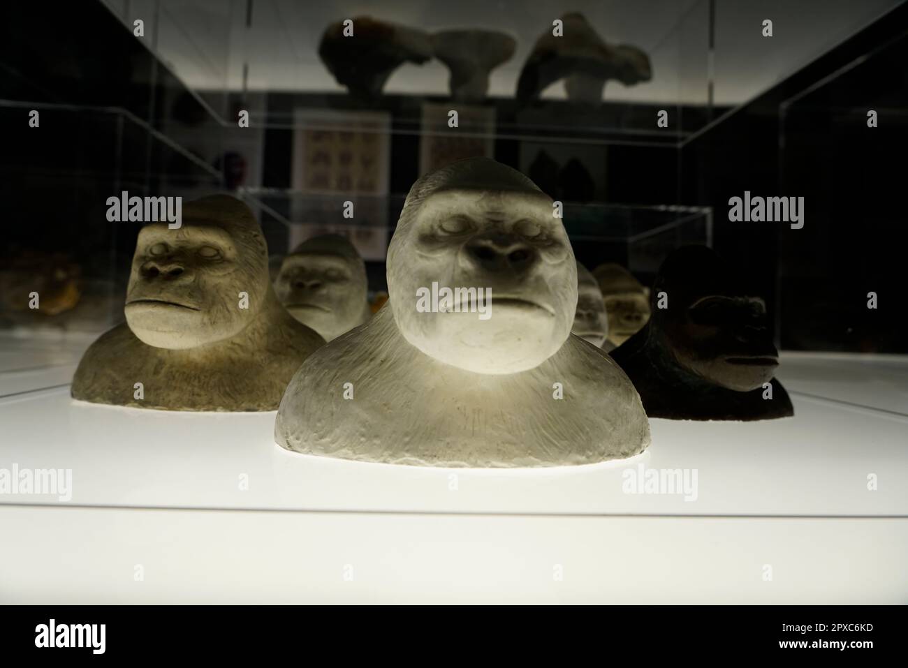 Nella mano di King Kong, in the hand of King Kong exhibition, Cineteca ...