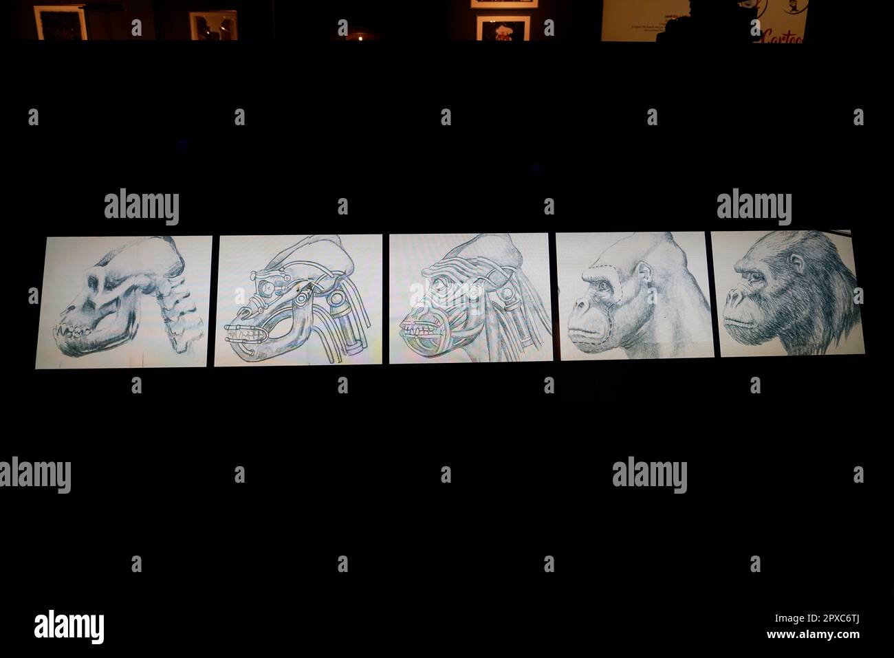 Nella mano di King Kong, in the hand of King Kong exhibition, Cineteca ...