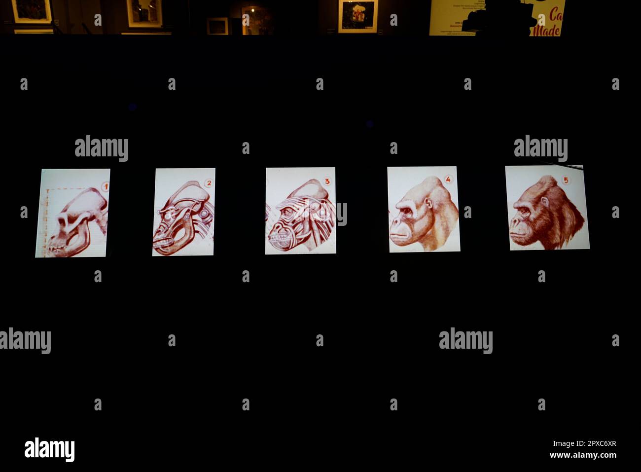 Nella mano di King Kong, in the hand of King Kong exhibition, Cineteca ...