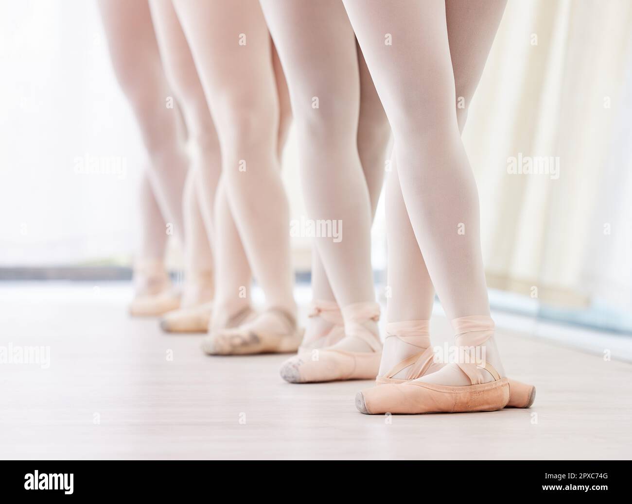 Ready for the performance of a lifetime. a group of ballerina dancers ...