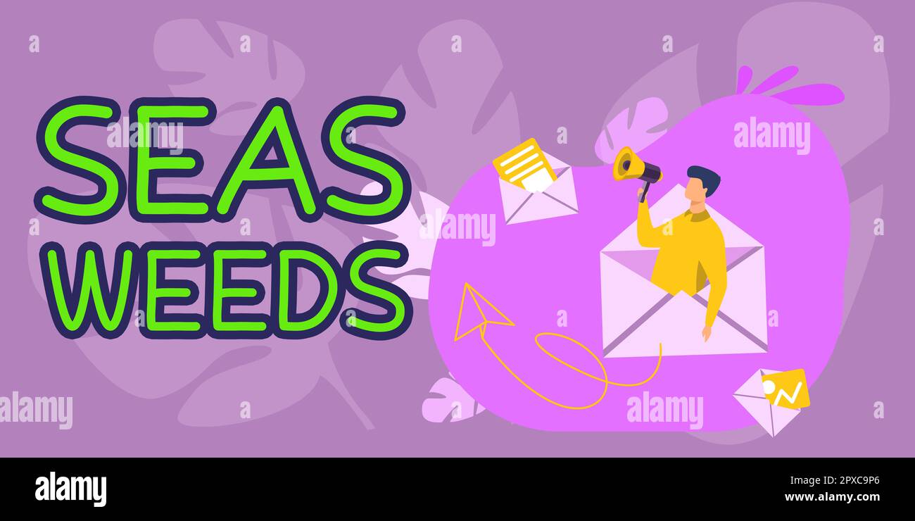 Inspiration showing sign Sea Weeds, Word Written on Large algae growing ...