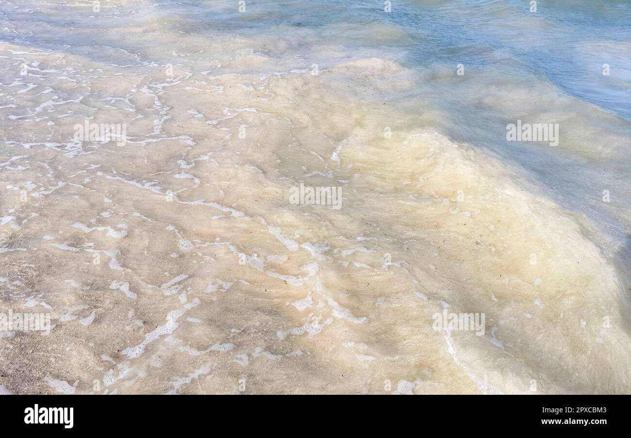 Waves at tropical mexican beach landscape panorama and caribbean sea ...