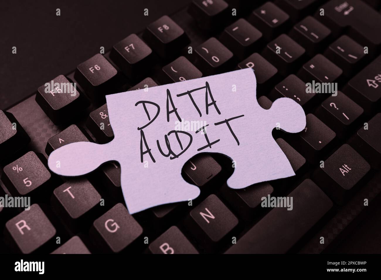 Writing Displaying Text Data Audit Internet Concept Auditing Of Data To Assess Its Quality For