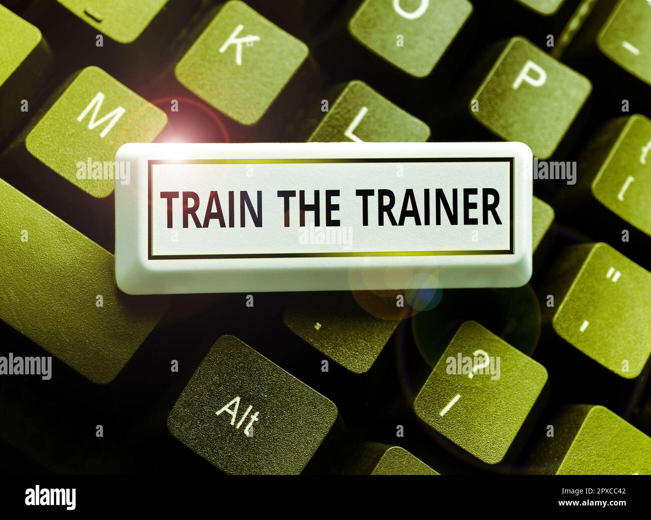 Conceptual display Train The Trainer, Business overview identified to ...