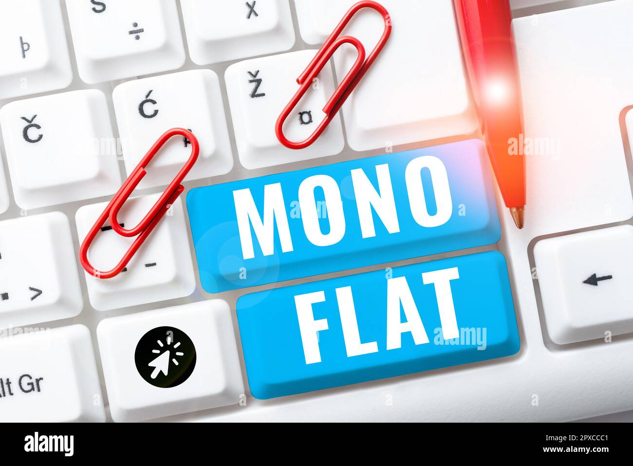 Conceptual display Mono Flat, Business approach lying at full length or ...