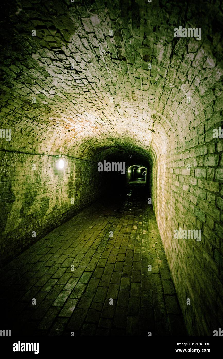 Long mysterious cellar passage in an abandoned mansion Stock Photo - Alamy