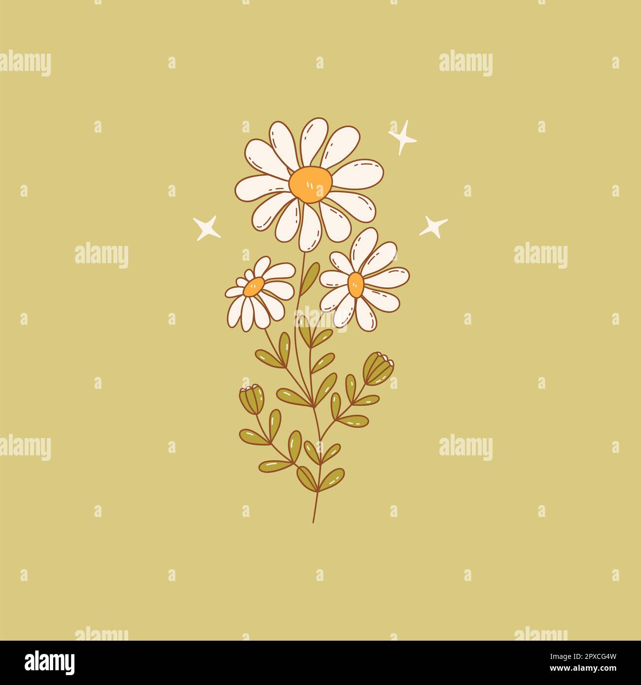 Two wildflowers Stock Vector Images - Alamy