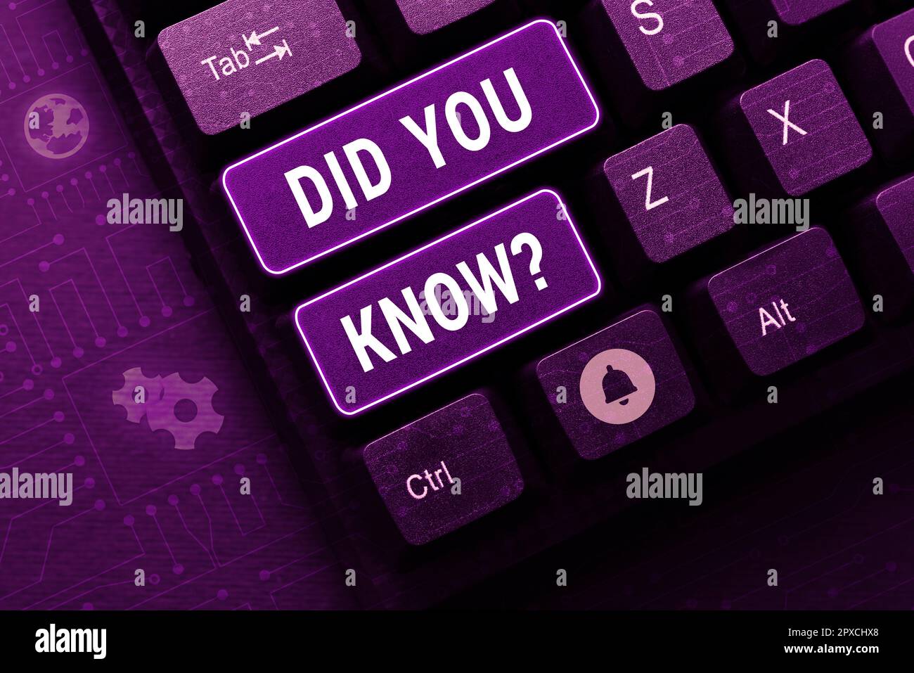 Conceptual caption Did You Know, Business idea Fun Facts and Figures ... Conceptual caption Did You Know, Business idea Fun Facts and Figures ...