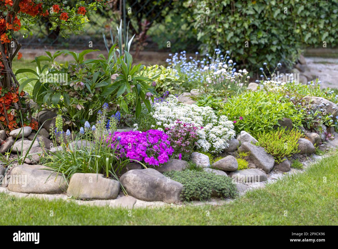 Beautiful colorful spring rock garden, blooming flowers Stock Photo - Alamy