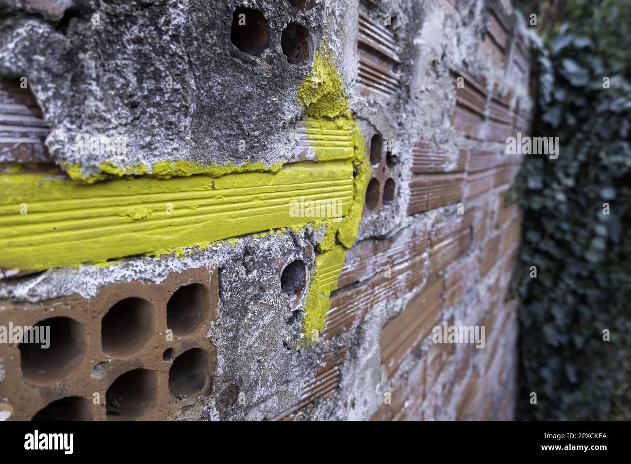 Pilgrim shell symbol detail hi-res stock photography and images - Alamy