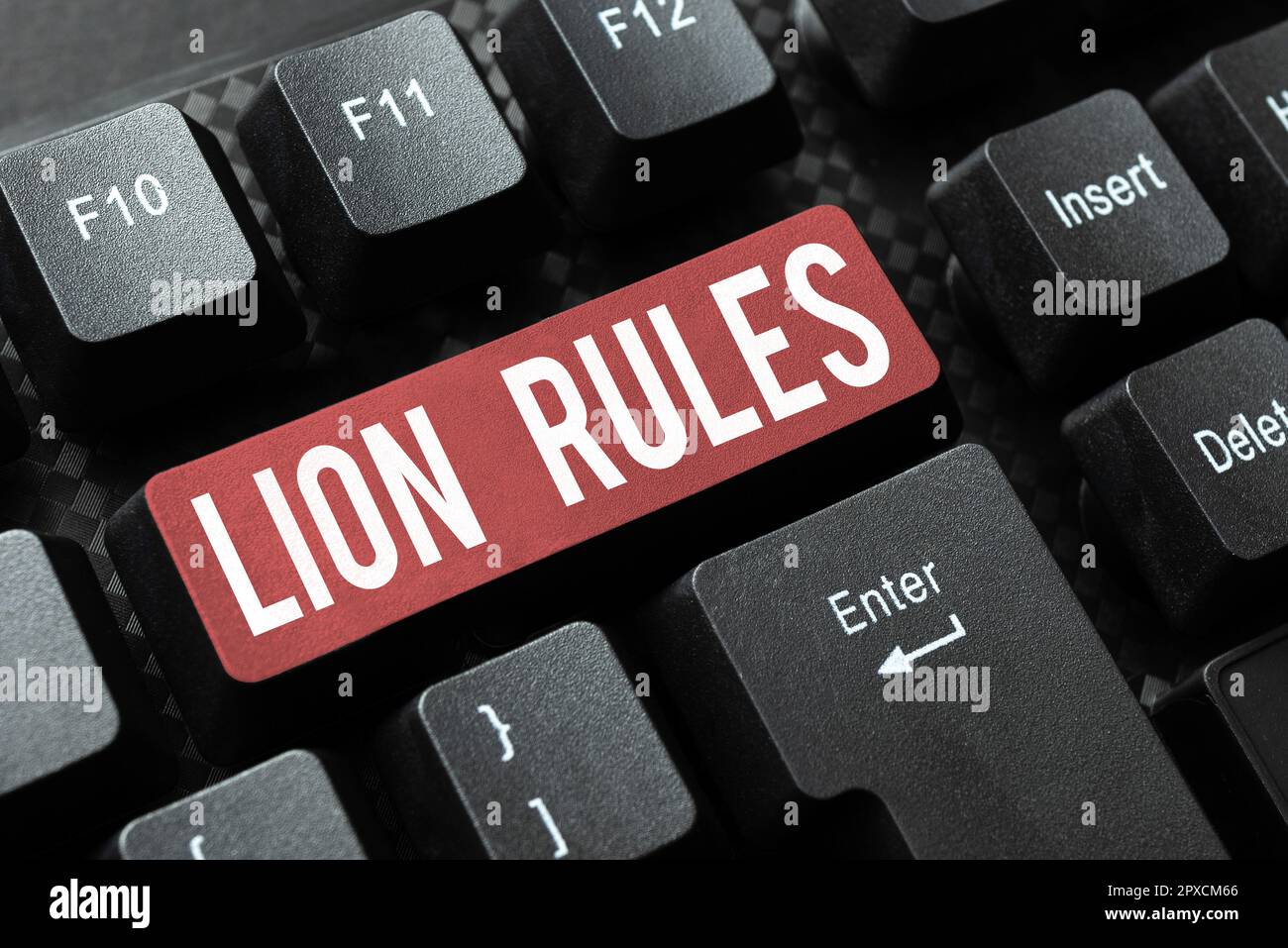 Text showing inspiration Lion Rules, Business overview epitome of ...
