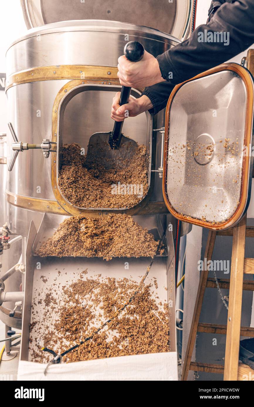 Mashing of milled malt grains for preparing malt. Process of brewing ...