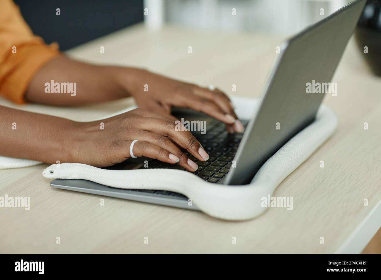 Hands of young African American businesswoman sitting by workplace and ...