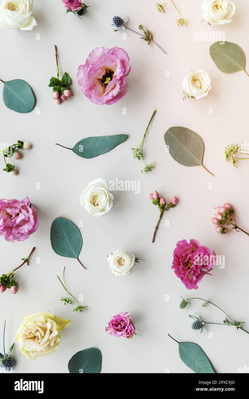 Beautiful colorful flowers background design Stock Photo - Alamy
