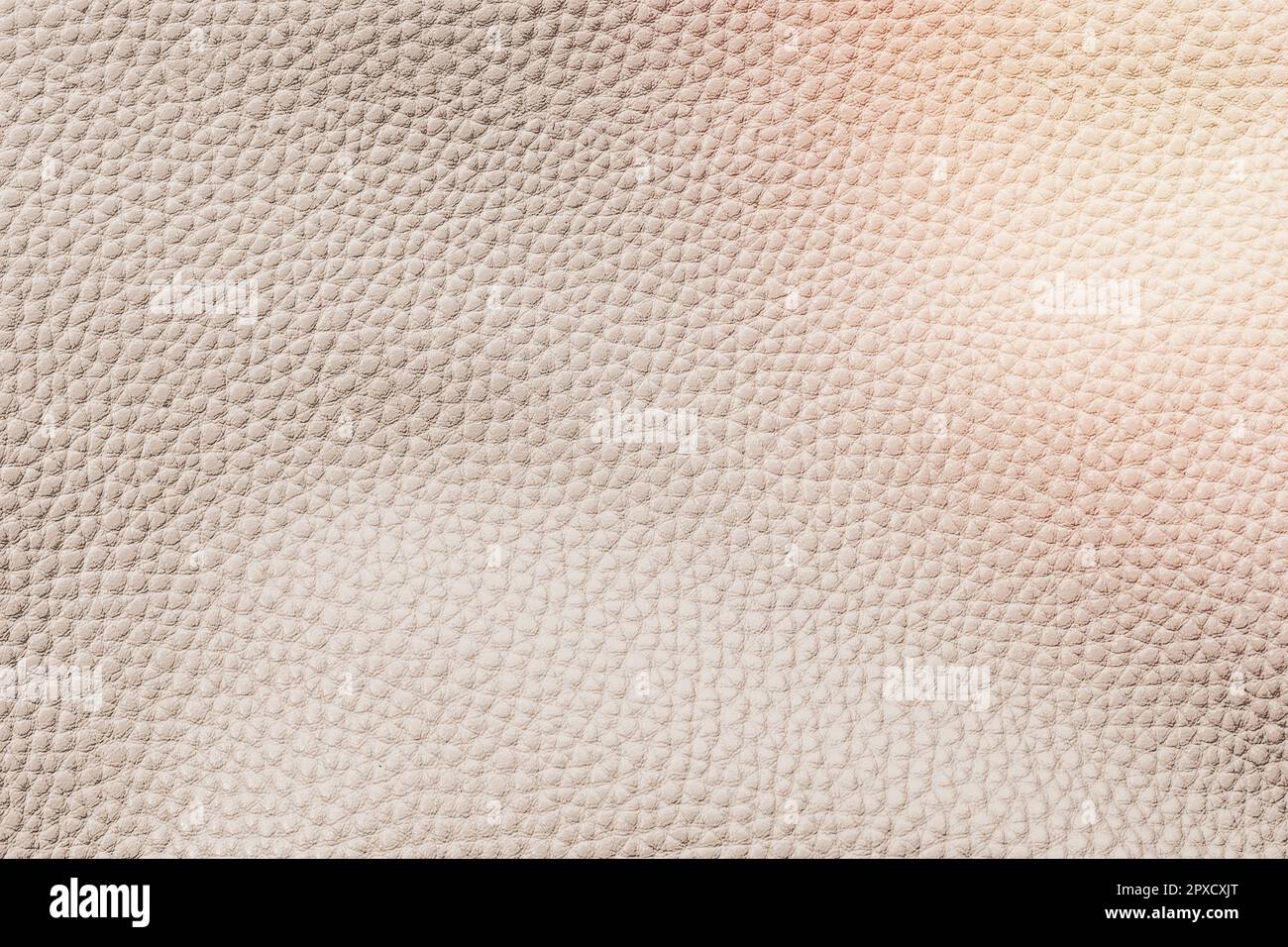 Beige cow leather textured background Stock Photo - Alamy